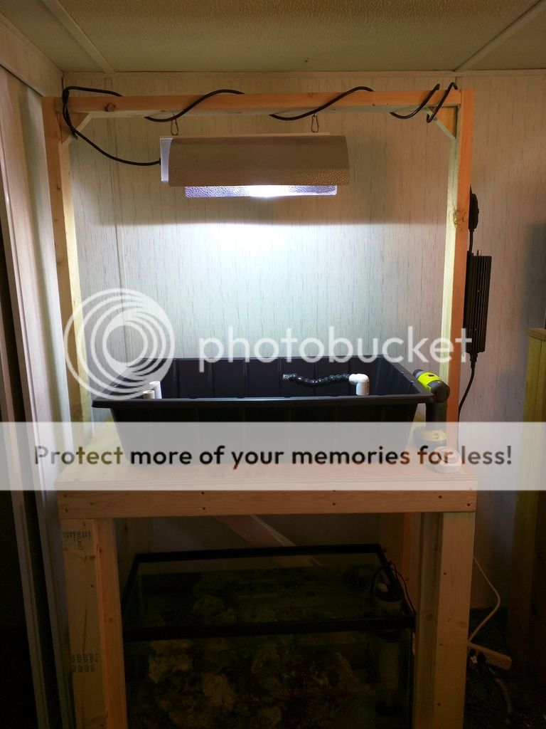 cheap and easy DIY Frag "tank" - Reef Central Online Community